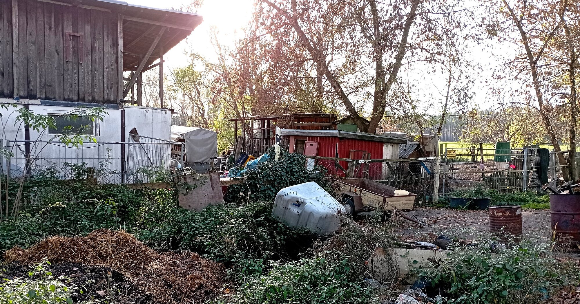 So geht es bei Tiermessies zu - aktion tier – Animal Hoarding